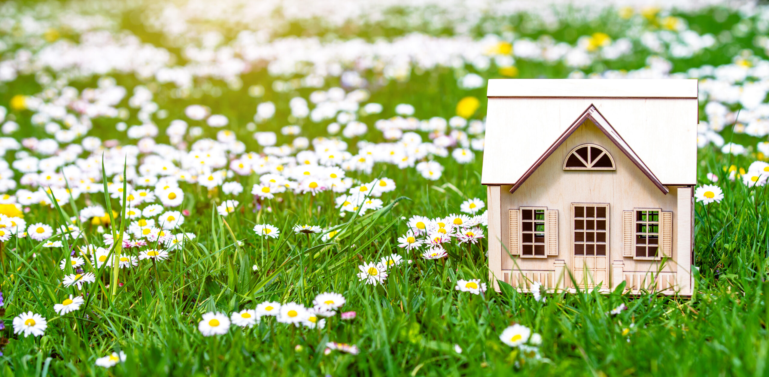 5 Easy Spring Home Improvement Ideas - Sullivan Financial Planning